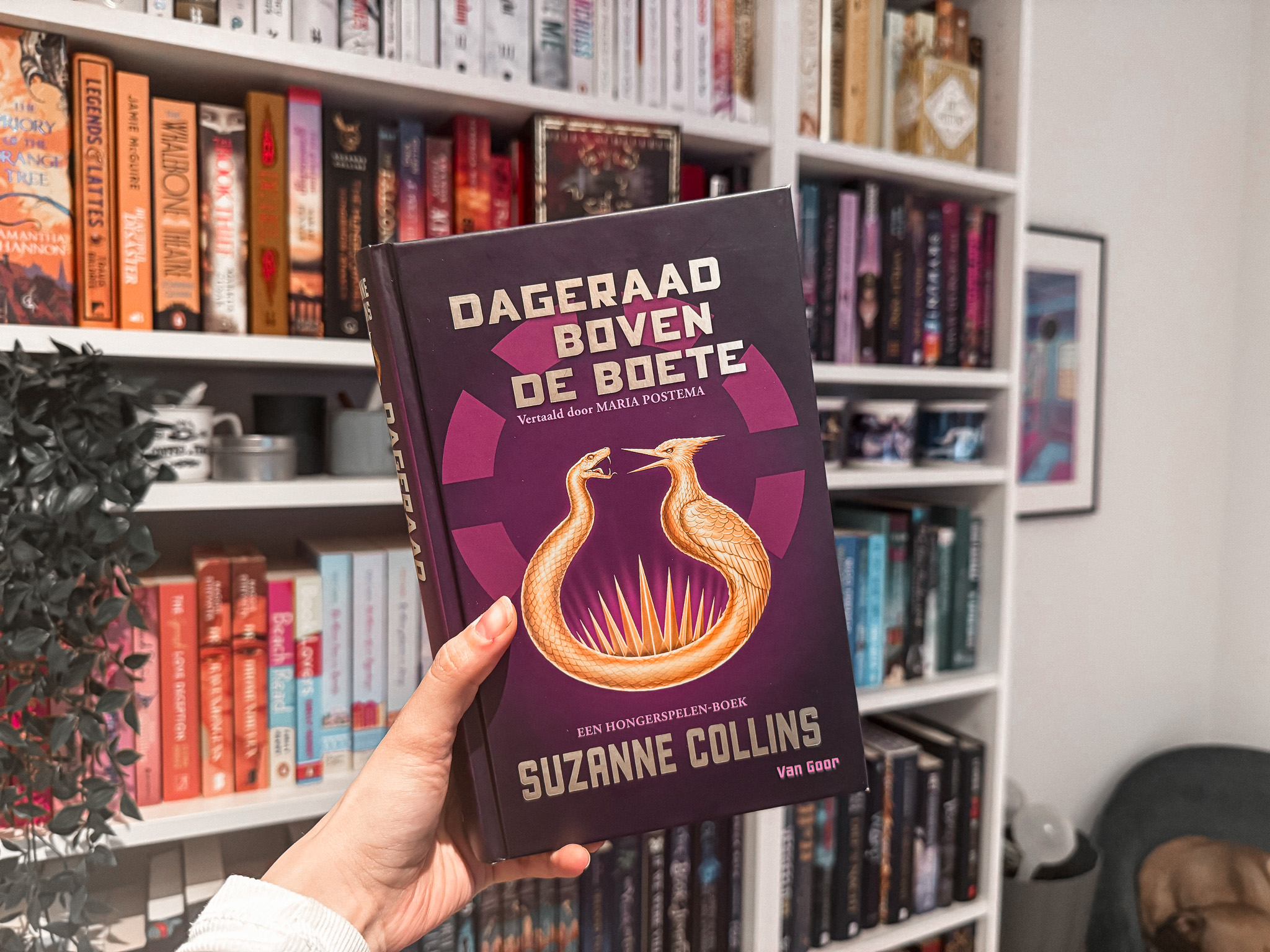 Recensie | ‘Dageraad boven de boete’ (The Hunger Games #0,5) van ...